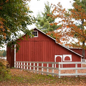 Red Barn Photo, Autumn Color Country Print, Fall Wall Art, Country Art ...