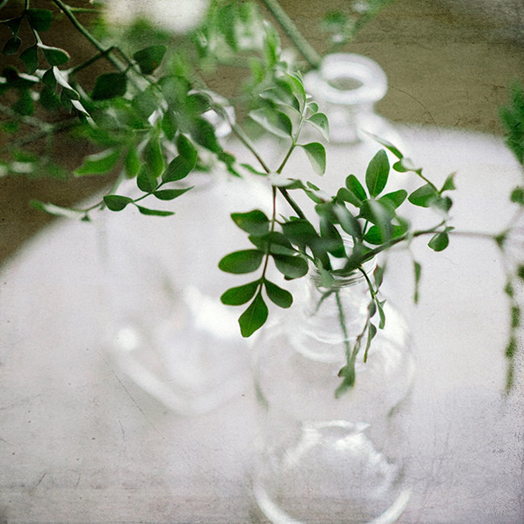 Botanical Photo, Nature Print, Wall Art, Photography Still Life, Home ...