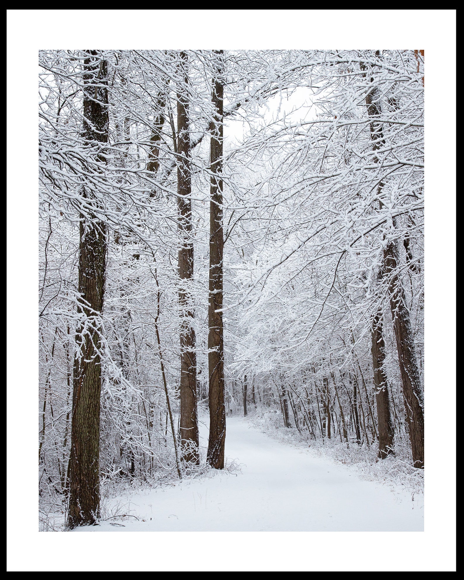 Winter Scene Print Forest in Snow Print Snow Covered Woods - Etsy