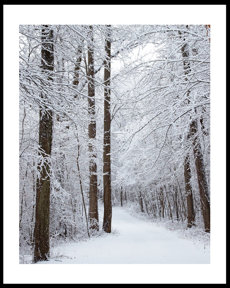 Winter Scene Print Forest in Snow Print Snow Covered Woods - Etsy