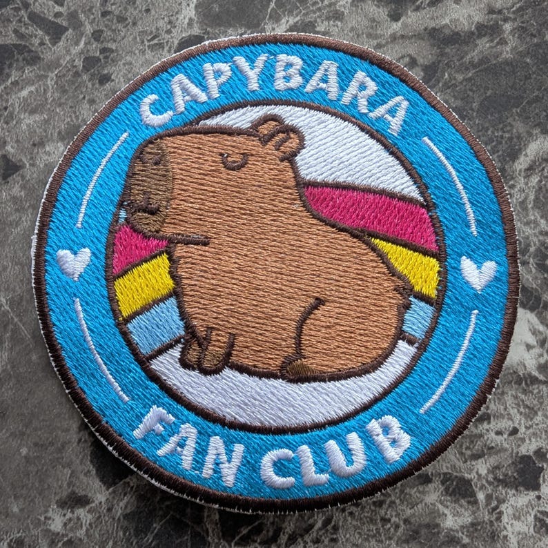 Capybara Embroidery Design Pack – 4 Digital Files for Instant Download ...
