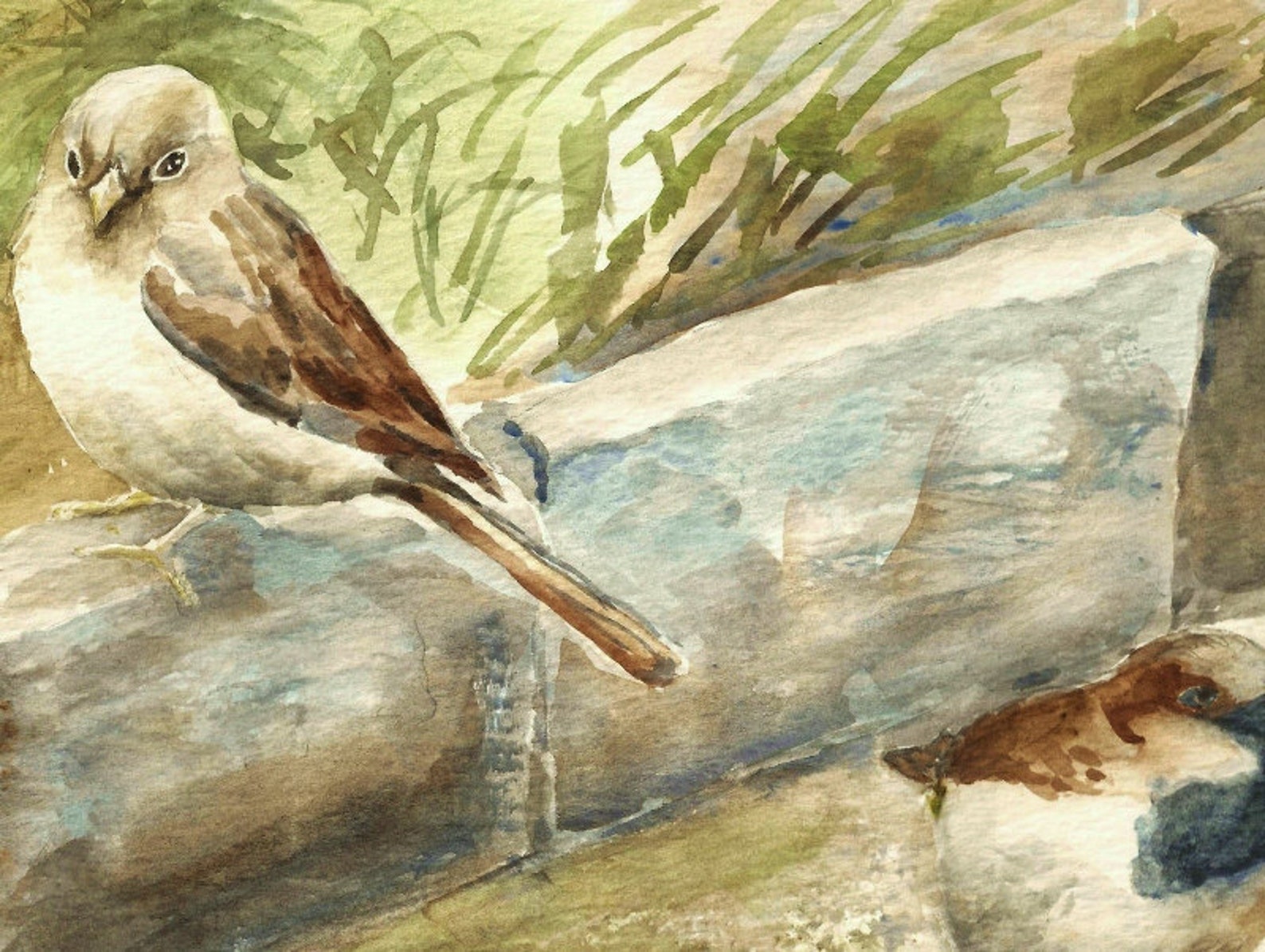 Two Sparrows 8x10 Print of Watercolor Painting - Etsy