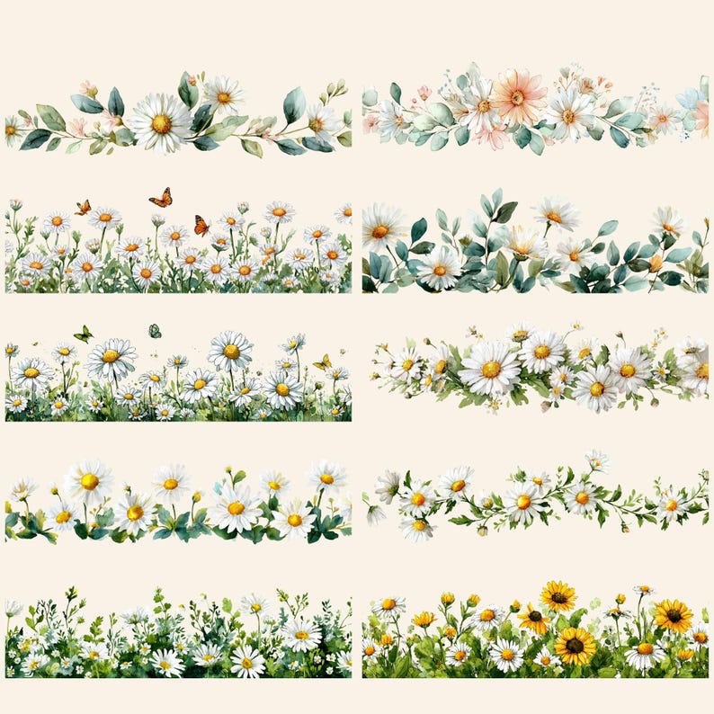 Watercolor Daisy Border Clipart | Floral Flower PNG Illustrations for ...