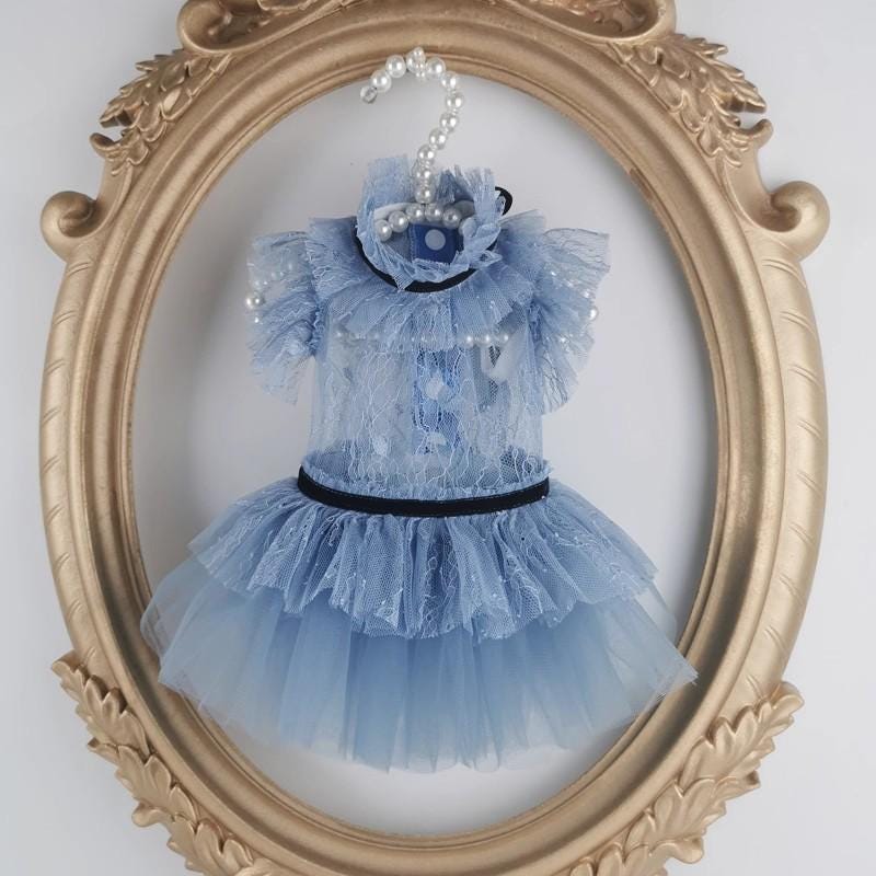Dog Fancy Dress Outfit - Etsy UK