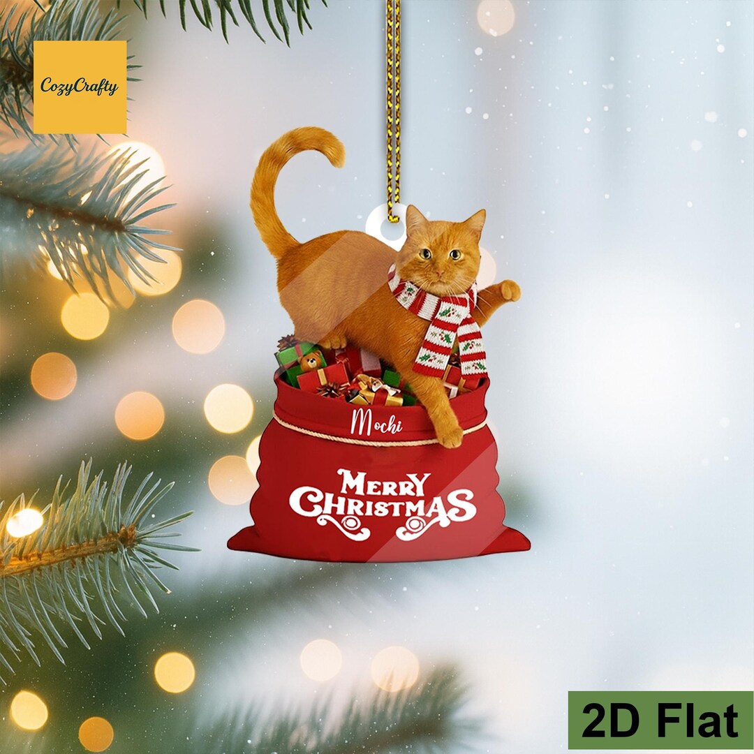 PERSONALIZABLE Orange Tabby Cat Ornament Christmas Sack Personalized ...