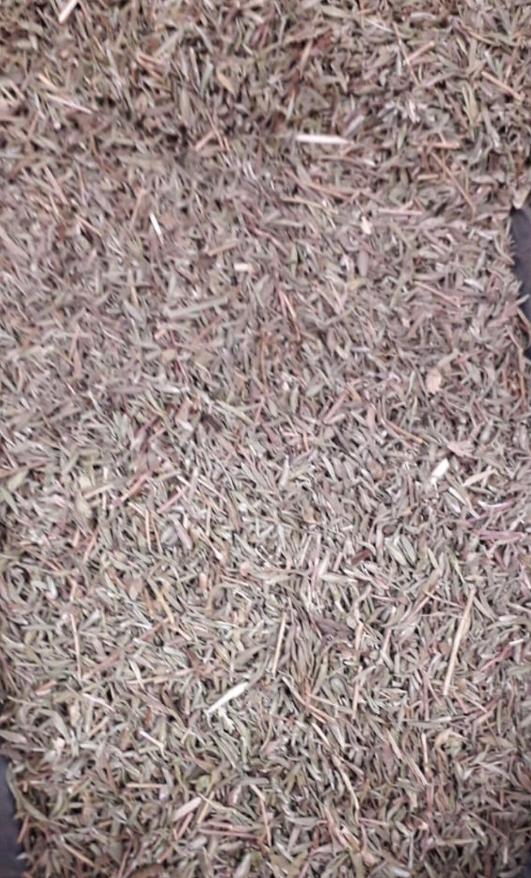 Tomillo Tea 4oz Natural Organic - Etsy