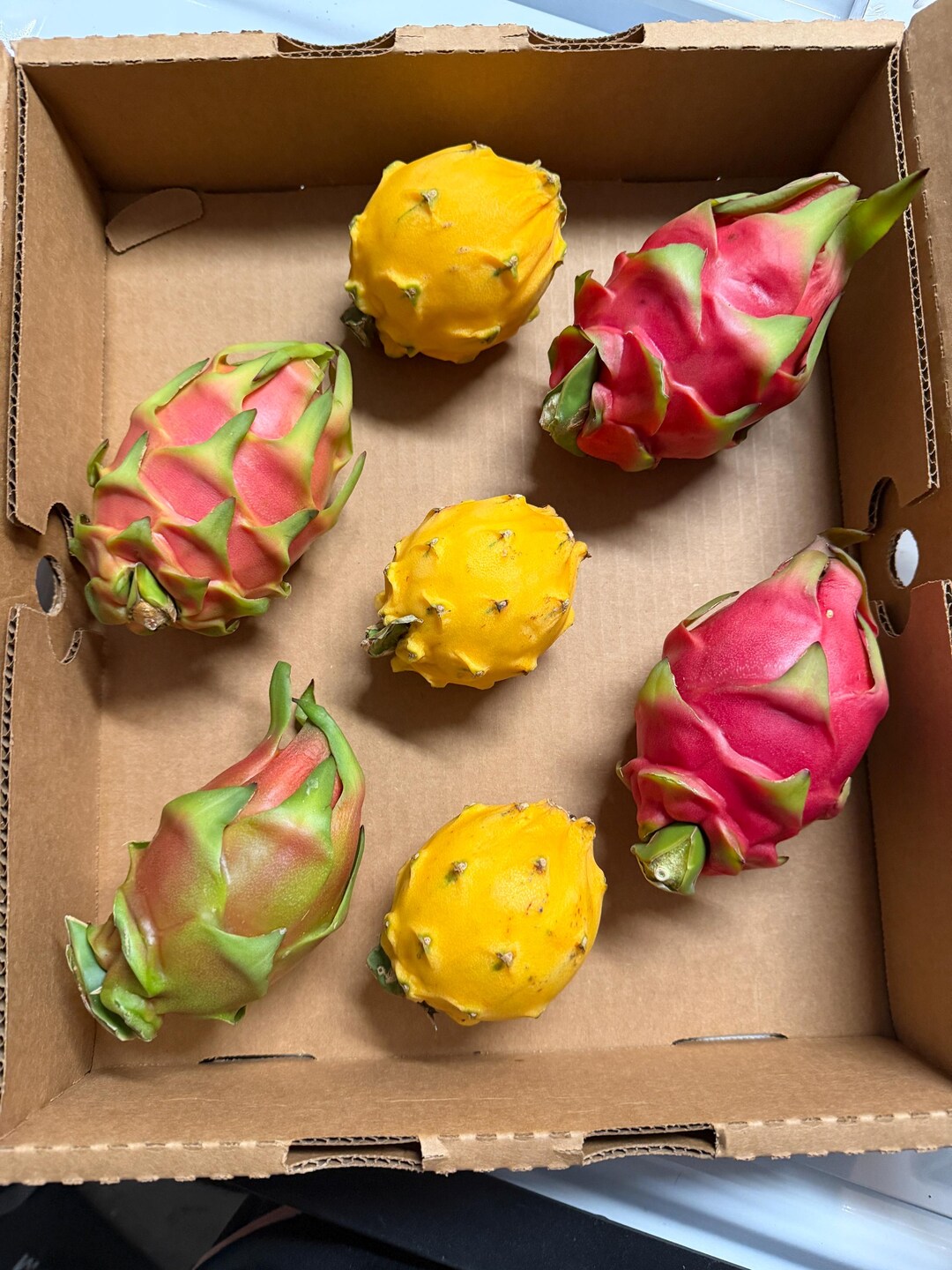 Mixed Fresh Dragonfruit Box - Etsy