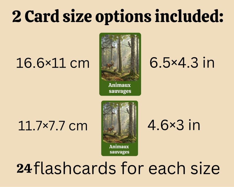 Cartes Des Animaux Sauvages - French Flashcards - Preschool Flashcards ...
