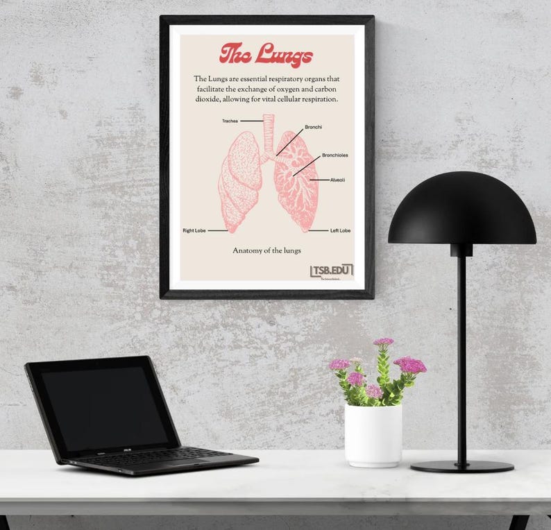 The Science Behind: the Lungs - Human Body Organ Poster | KS3/KS4 ...