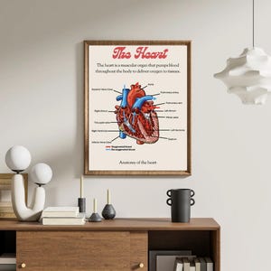 The Science Behind: the Heart - Human Body Organ Poster | KS3/KS4 ...