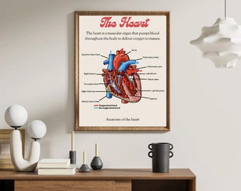 The Science Behind: the Heart - Human Body Organ Poster | KS3/KS4 ...