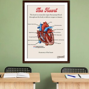 The Science Behind: the Heart - Human Body Organ Poster | KS3/KS4 ...