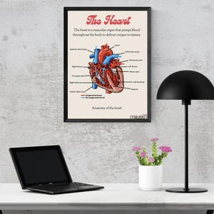 The Science Behind: the Heart - Human Body Organ Poster | KS3/KS4 ...