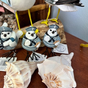 Lightning Whelk 5-6 Shells Left Handed Sinistral Seashells State of ...