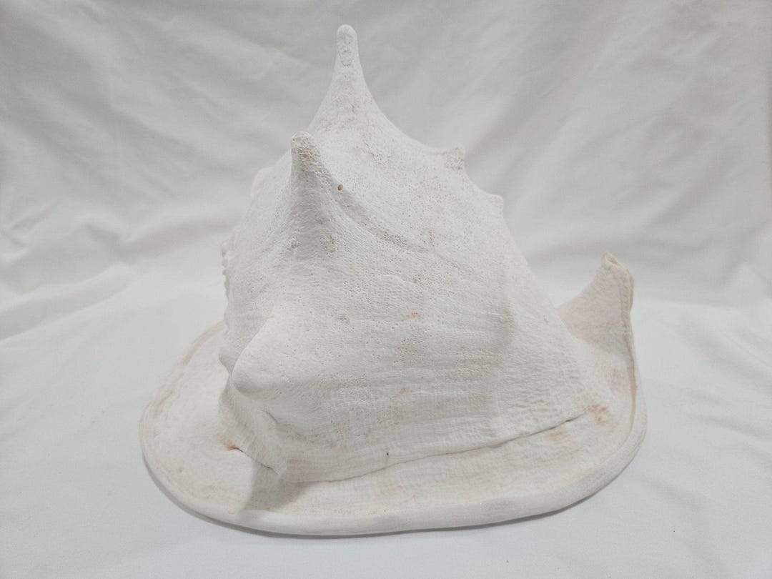 Queen Emperor Helmet Shell- Exact Shown 11" - Etsy