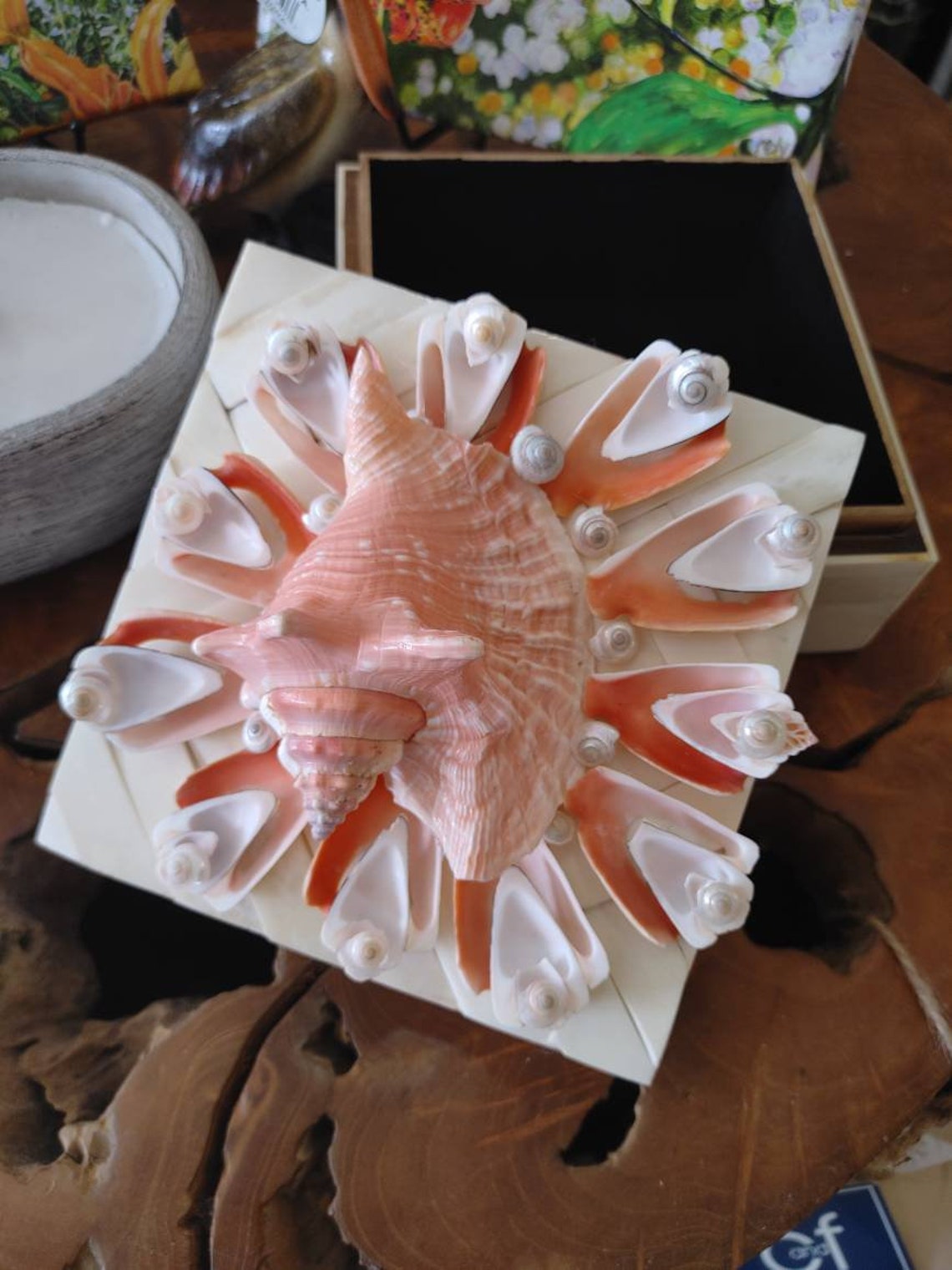Decorative Seashell Box Art Treasure Bone Tiles White Pink | Etsy