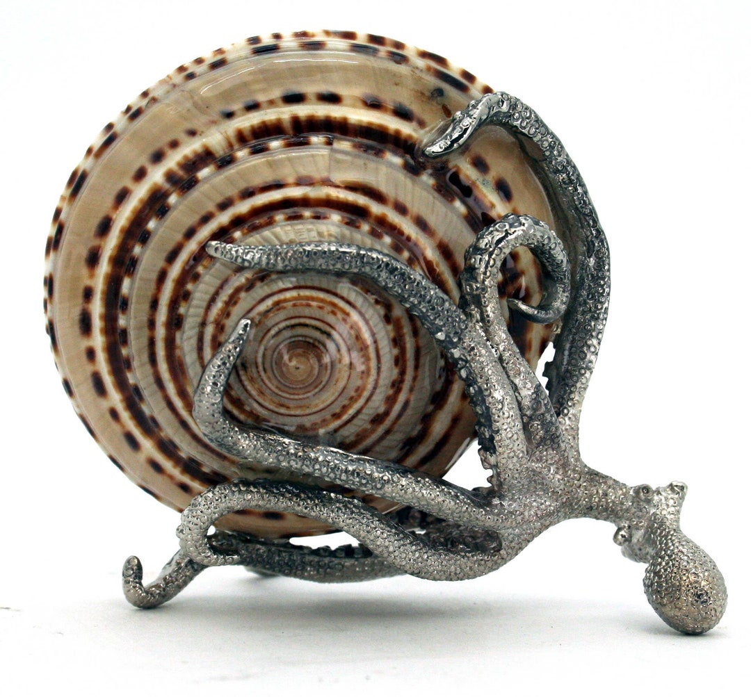 Sundial Shell With Pewter Octopus - Etsy