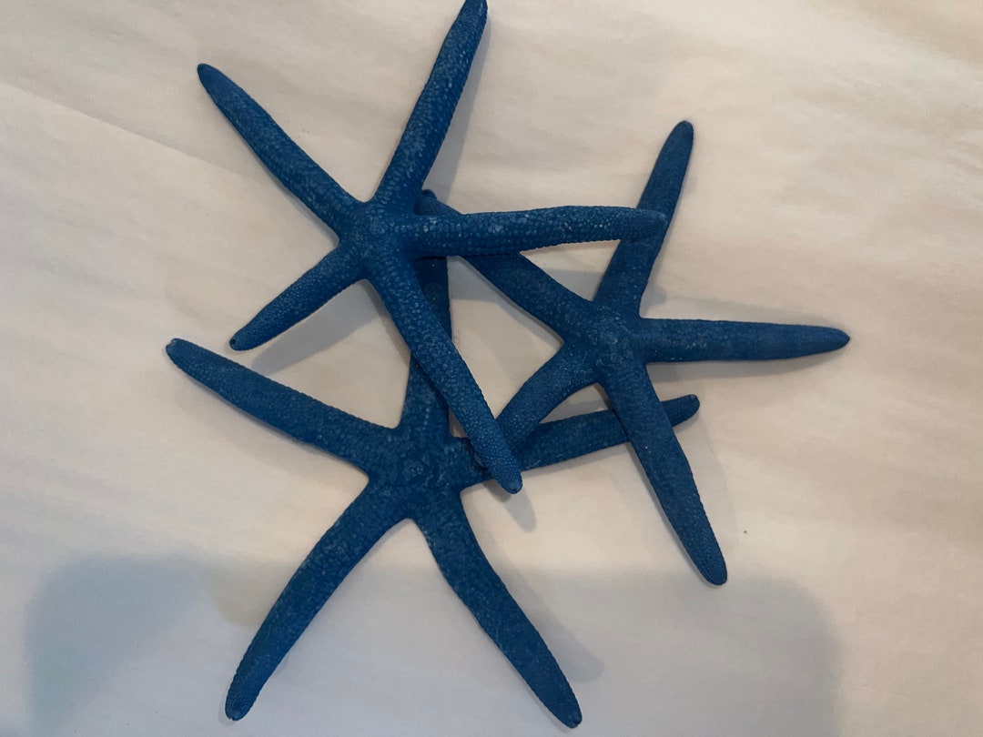 Blue Finger Linkia Starfish Aquamarine Teal Aqua Pencil 4-6 DIY Coastal ...