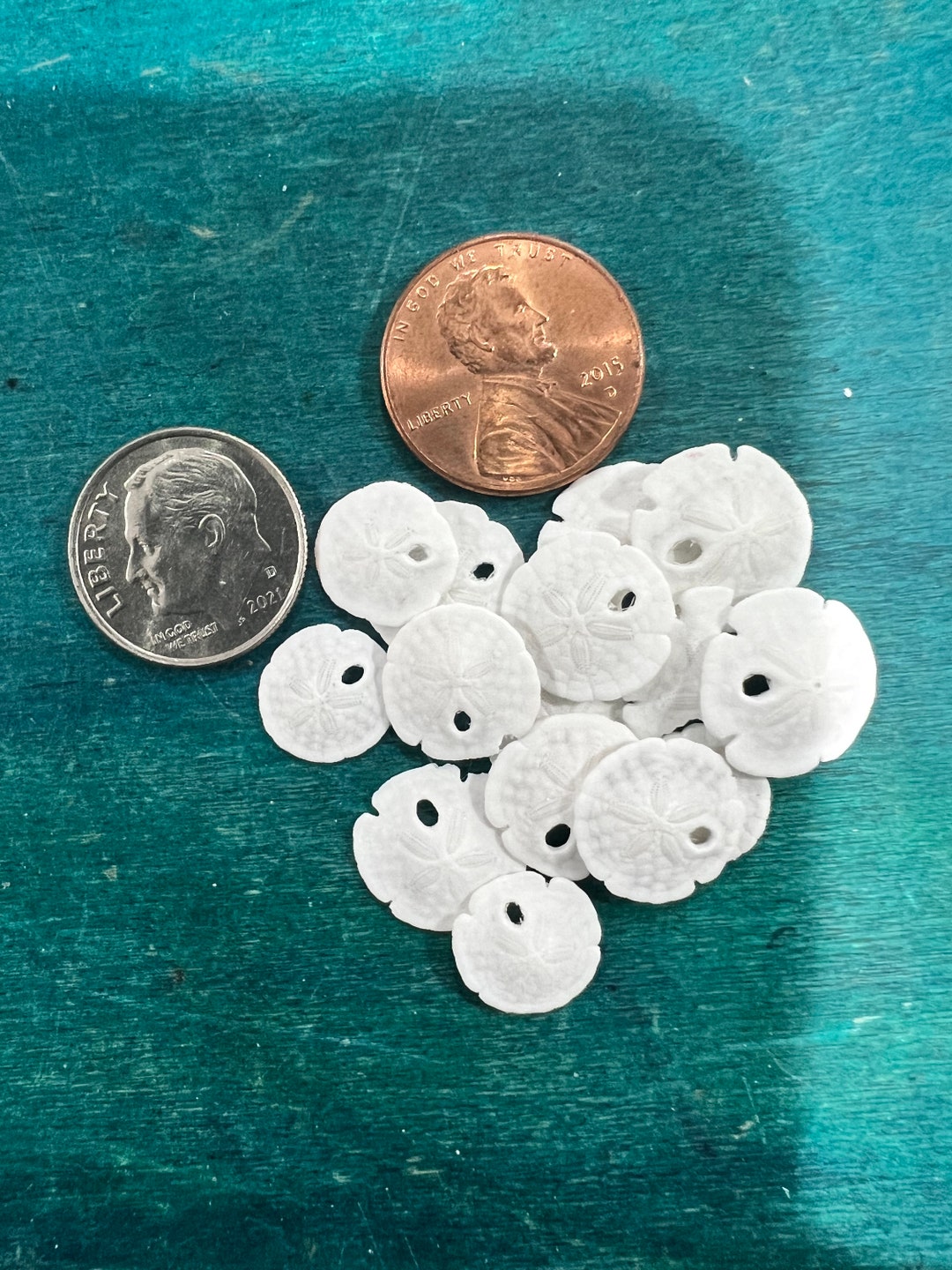 Smallest Ever 0.25-0.50 Sand Dollars Mini Tiny Extra Small Dime Nickel ...