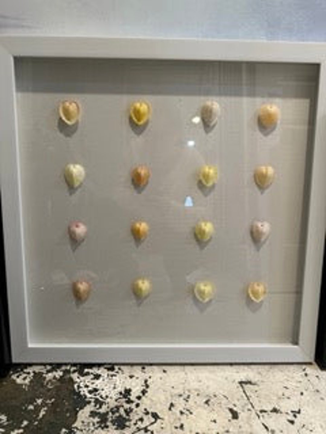 White Frame With Natural Pastel Heart Cockle Shells - Etsy
