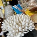 Vintage Table Coral 11.5 Authentic Coastal Coast Ocean Sea Life Salt ...
