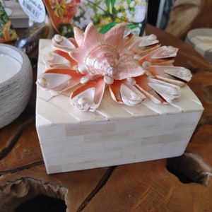 Decorative Seashell Box Art Treasure Bone Tiles White Pink | Etsy