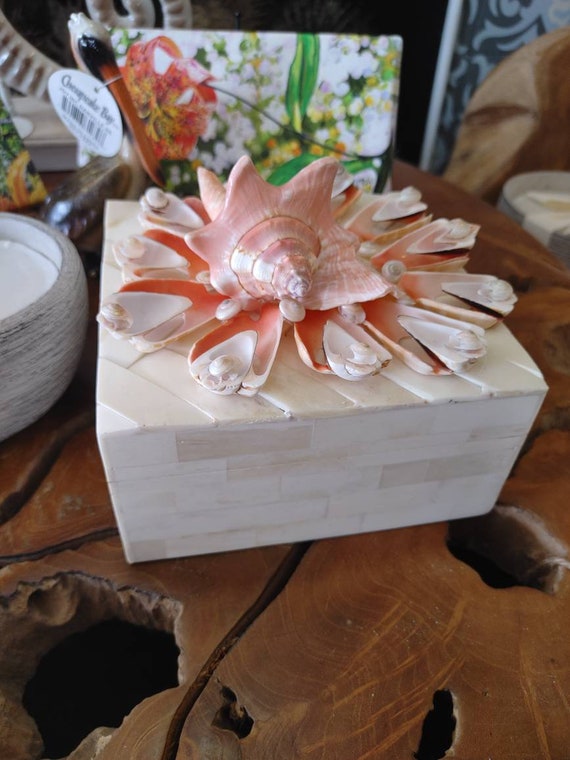 Decorative Seashell Box Art Treasure Bone Tiles White Pink | Etsy