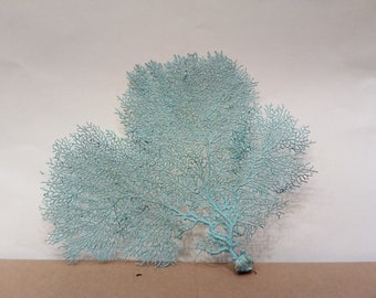 Robin Egg Blue Decor - Etsy