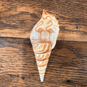 Beach Carved Tibia Shells Jewelry Shadowbox Frames Mirrors Long Pointed ...