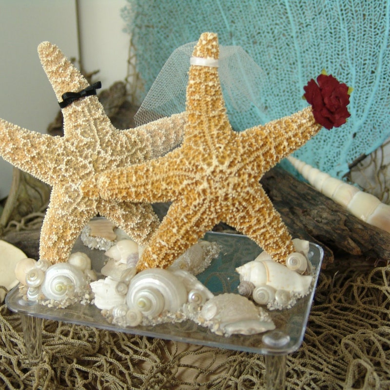 Starfish Decorations - Etsy