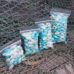 Pastel Dyed Bubble Shells - Etsy