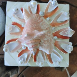 Decorative Seashell Box Art Treasure Bone Tiles White Pink | Etsy