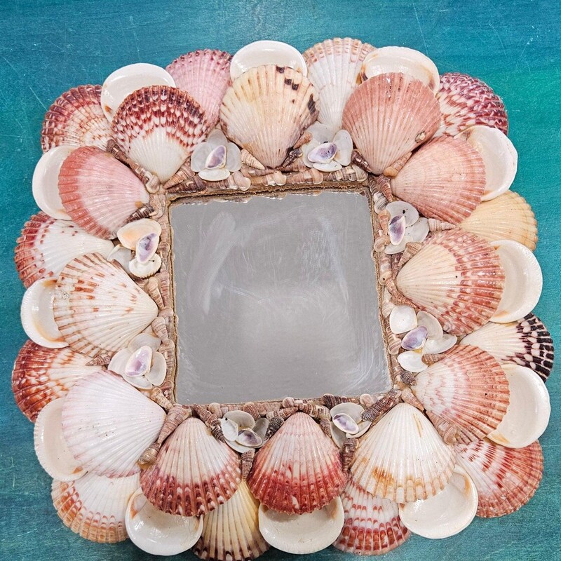 Seashell Mirror - Etsy