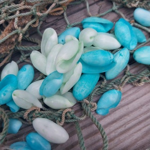 Pastel Dyed Bubble Shells - Etsy