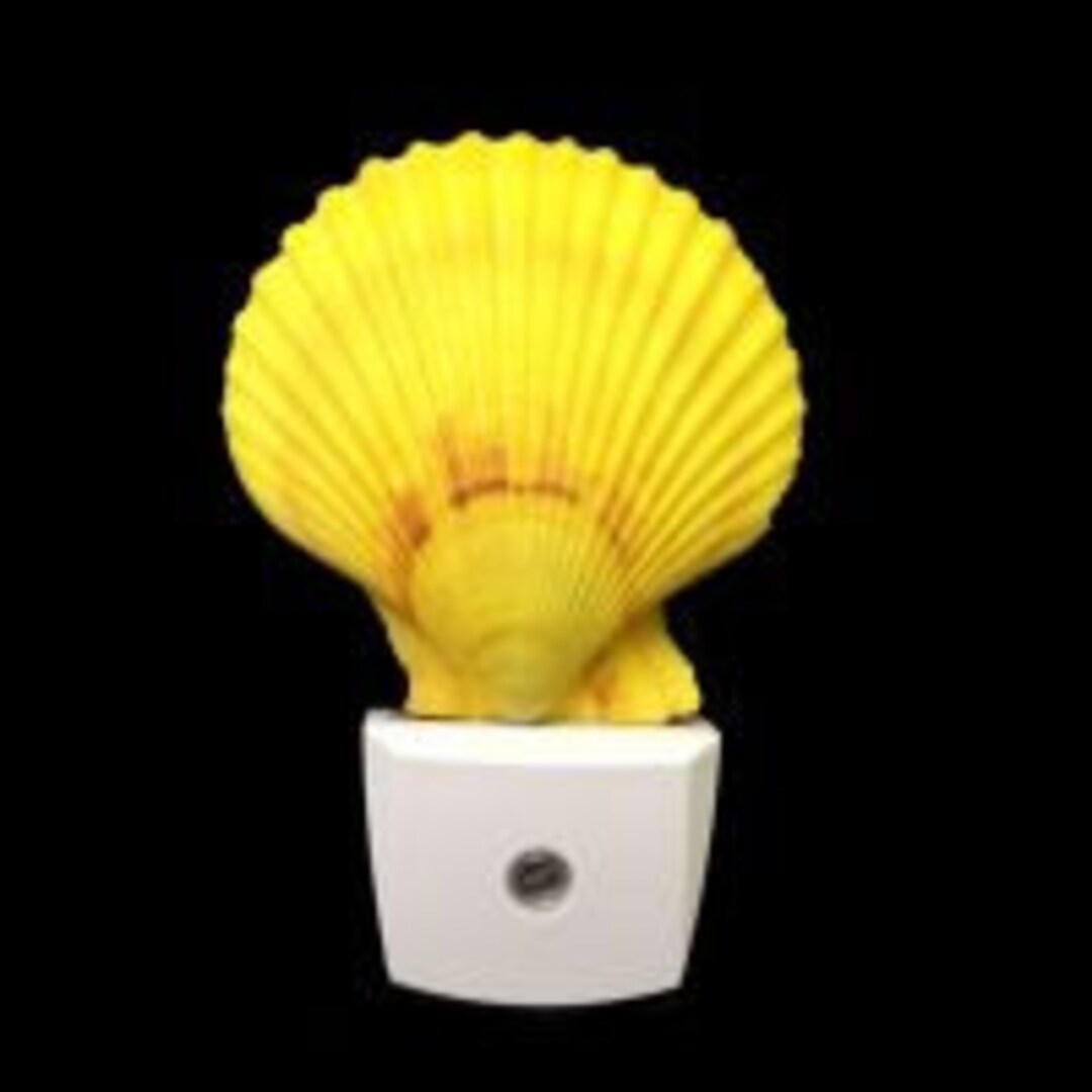 Yellow Pectin Scallop Shell LED Night Light Nobilis Darkness - Etsy