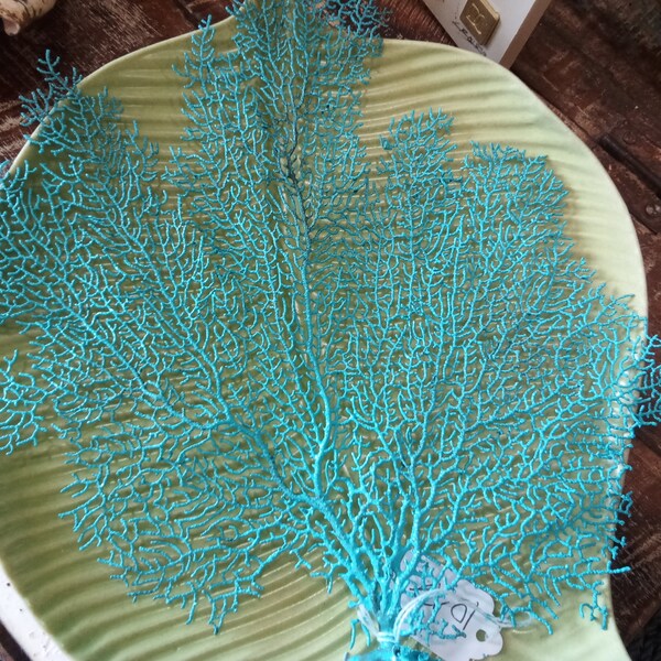 Blue Sea Fan - Etsy