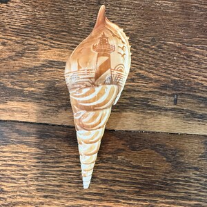 Beach Carved Tibia Shells Jewelry Shadowbox Frames Mirrors Long Pointed ...