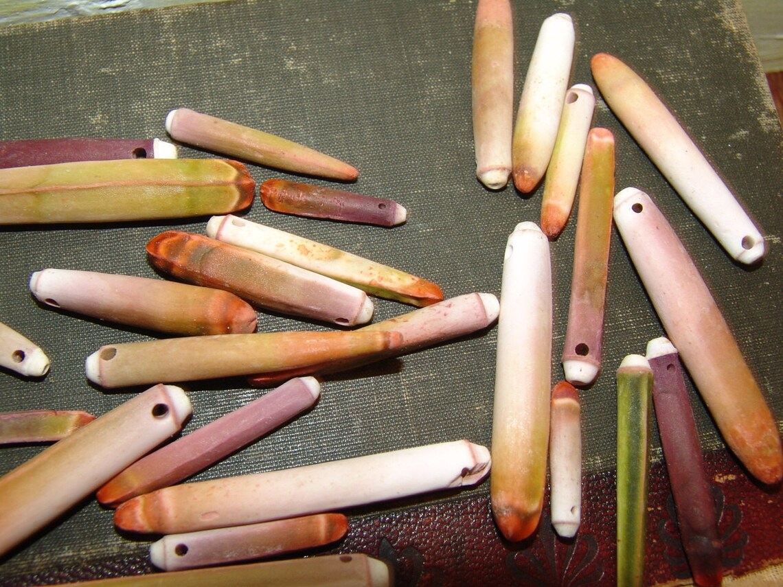 Drilled or Whole Sea Urchin Shell Spines Natural Tones Arts | Etsy