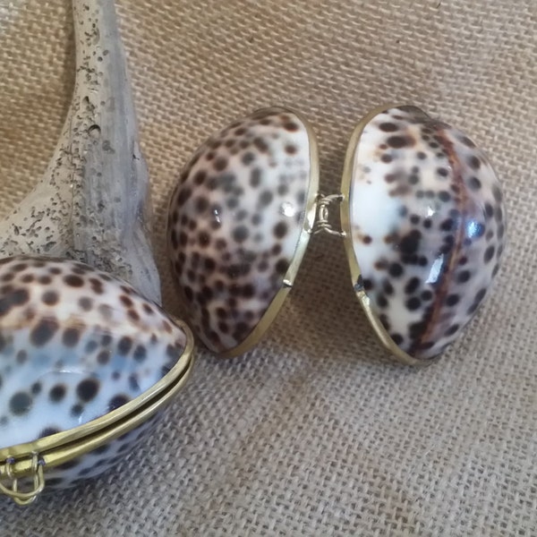 Shell Coin Purse - Etsy