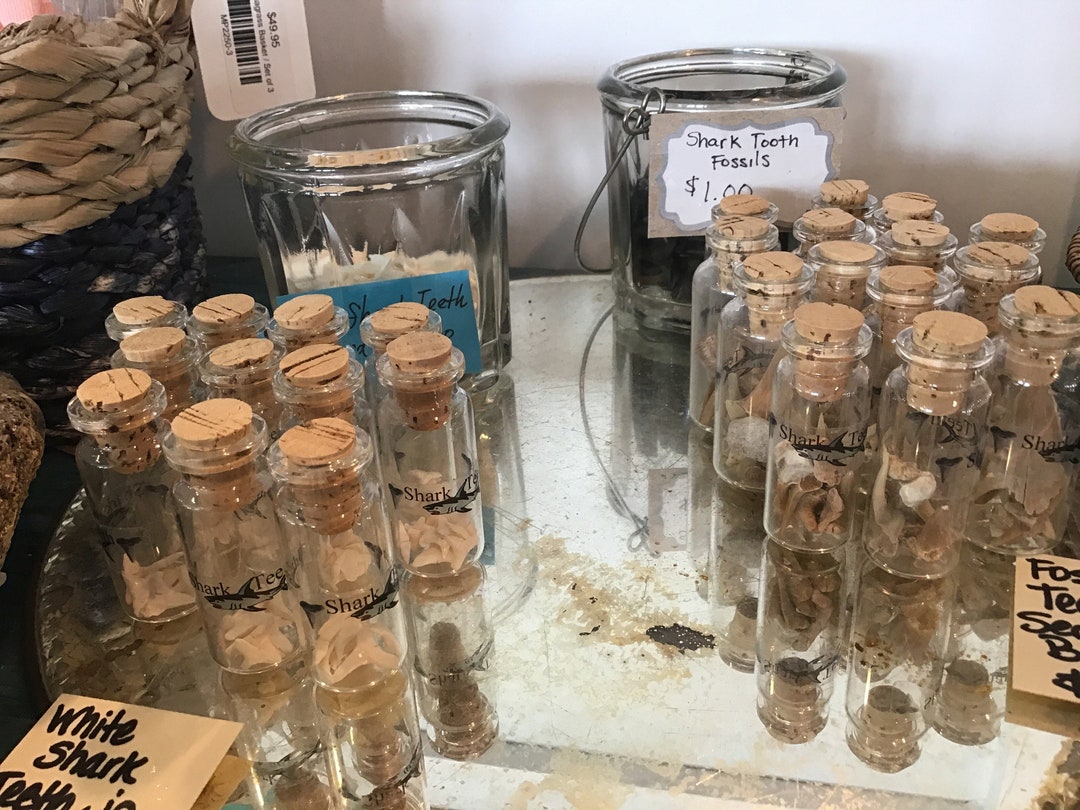 Bottled Shark Teeth and Sea Glass - Etsy