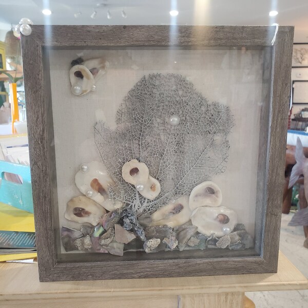 Seashell Shadow Box - Etsy