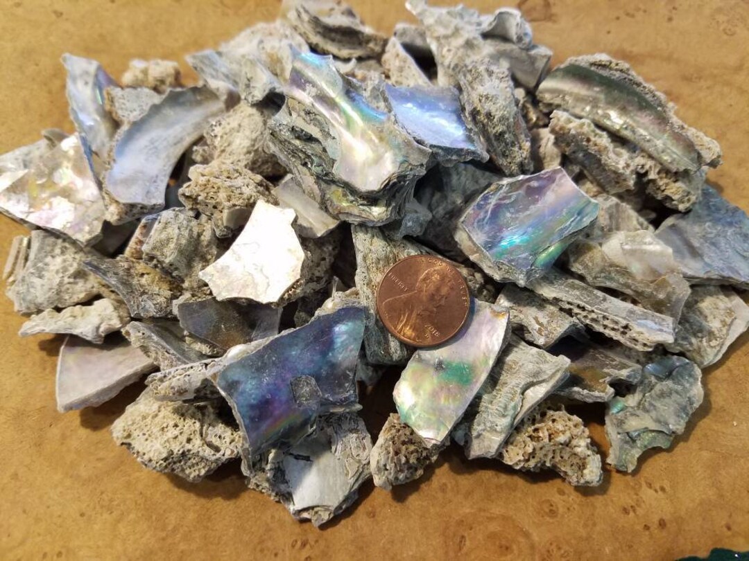 Iridescent Natural Abalone Shell Shards Chips Broken Pieces - Etsy