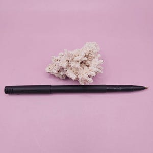 Ivory Bush Coral – Oculina Varicosa (2.5") - Etsy