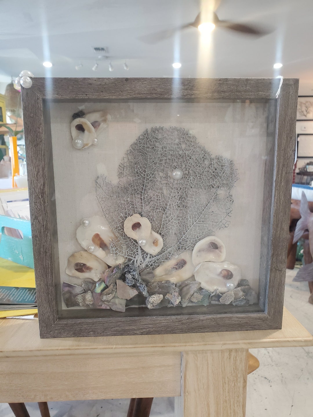 Coastal Shadow Box Group Natural Beach Shells Framed Beach Neutral ...