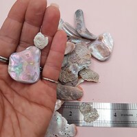 Abalone Shell - Etsy