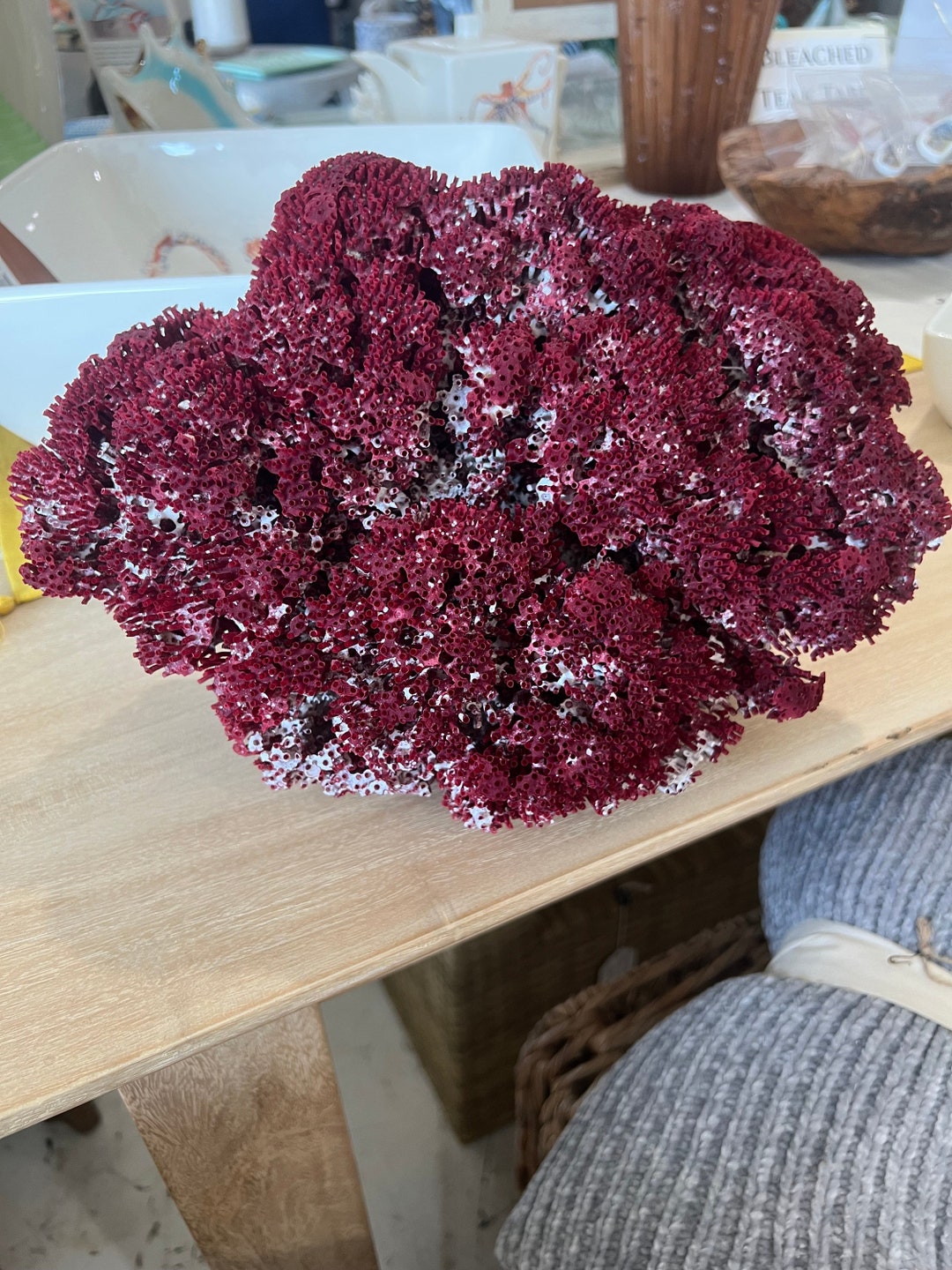 Vintage Red Pipe Organ Coral 13 - Etsy