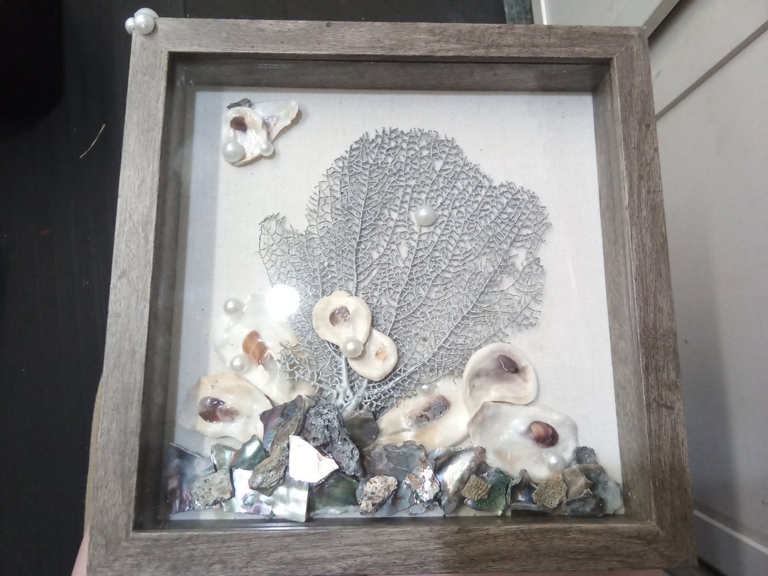 Coastal Shadow Box Group Natural Beach Shells Framed Beach - Etsy