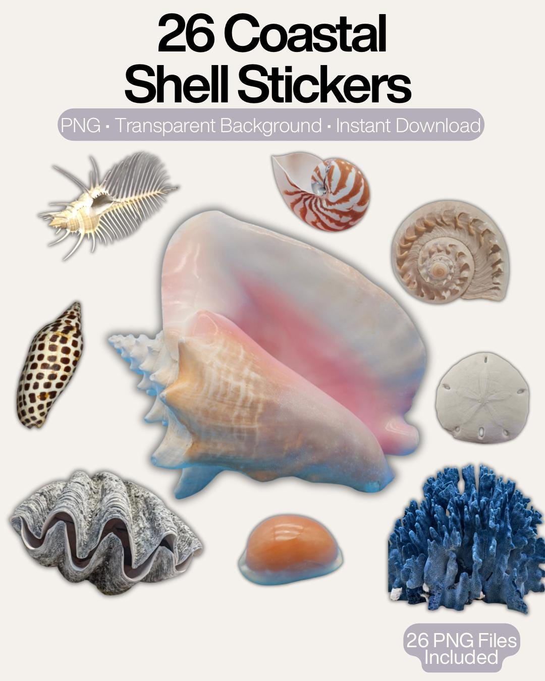 Shell Sticker Pack- Digital Download - Etsy
