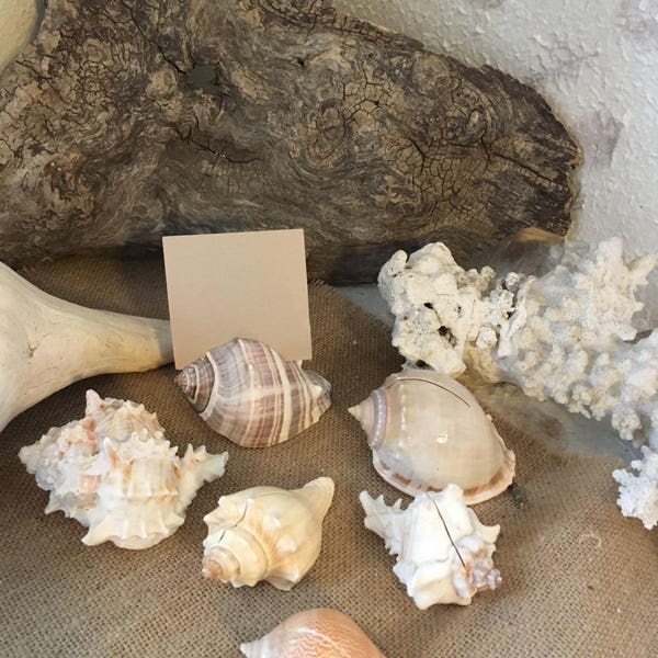 Placecard Holders - Etsy