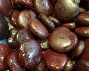 Sea Bean Jewelry | Etsy